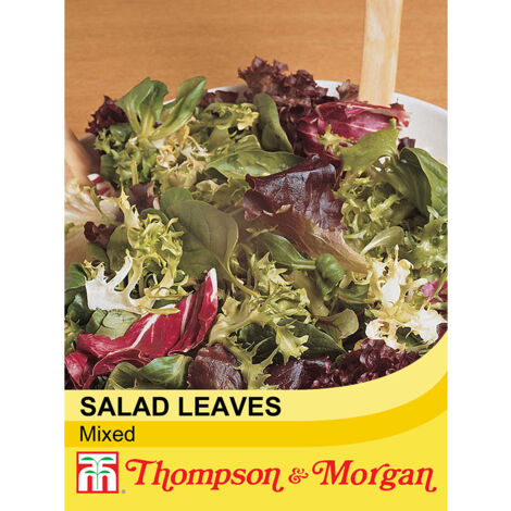 Lettuce Leaves Mixed 1 Seed Packet (400 Seeds)