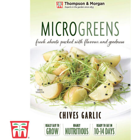 Microgreens Chives Garlic 1 Seed Packet (200 Seeds)