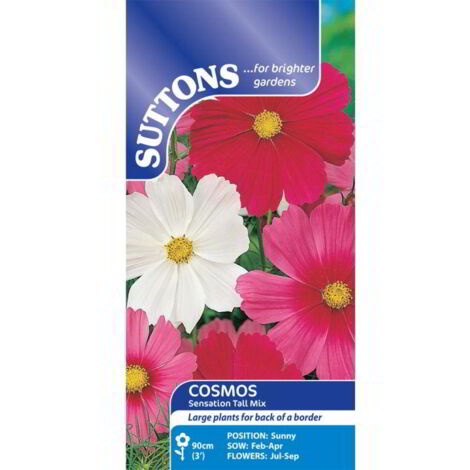 Cosmea Sensation Tall Mix 1 Seed Packet (150 Seeds)