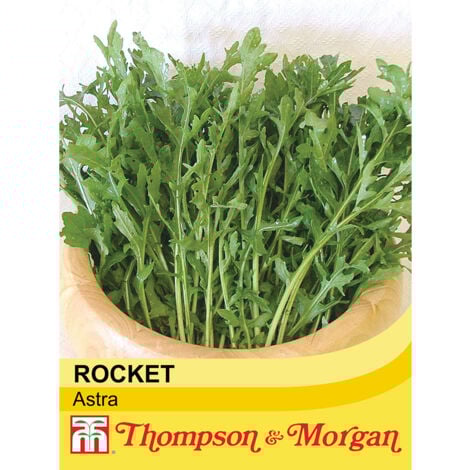 Salad Leaves Rocket Astra 1 Seed Packet (400 Seeds)