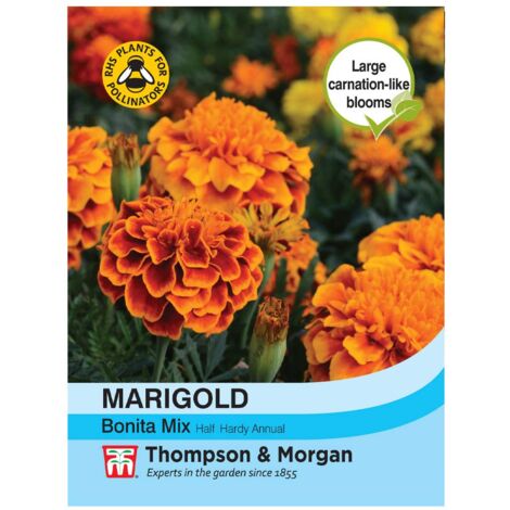Marigold Bonita Mixed 1 Packet (200 Seeds)