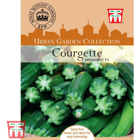 Courgette F1 Midnight 1 Seed Packet (10 Seeds)