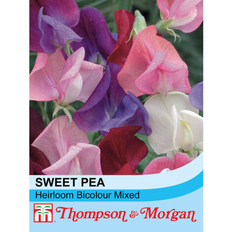 Sweet Pea Heirloom Bicolour Mixed 1 Seed Packet (20 Seeds)