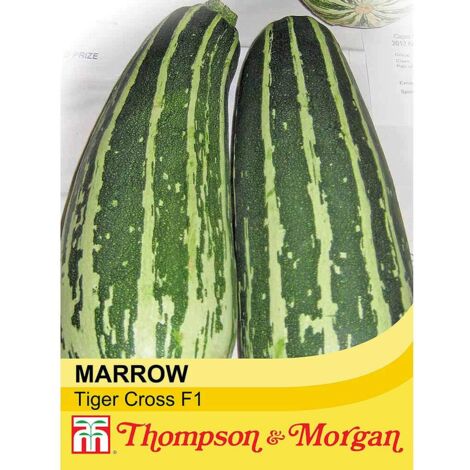 Marrow Tiger Cross F1 Hybrid 1 Seed Packet (12 Seeds)