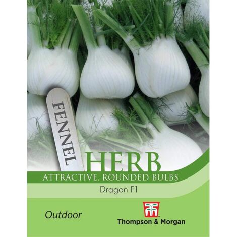 Herb Fennel Dragon F1 Hybrid 1 Seed Packet
