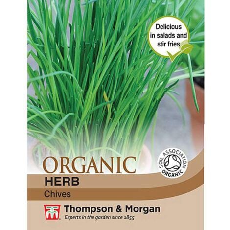 Organic Herb Chives 1 Seed Packet
