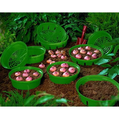 Flower Bulb Planting Baskets - 3 pack
