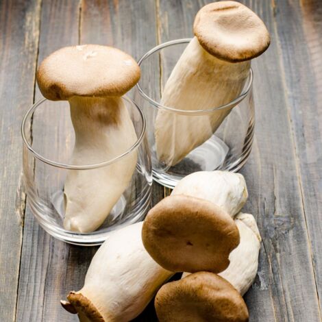 Vegetable Organic Mushroom King Oyster Prepack 7.5 Litre Prepack x 1