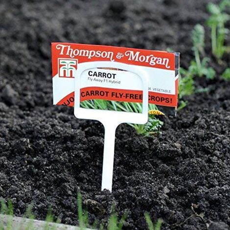 Garden Essentials Plastic T Labels