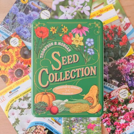 Hard Good Thompson & Morgan Seed Collection Tin With Flower
