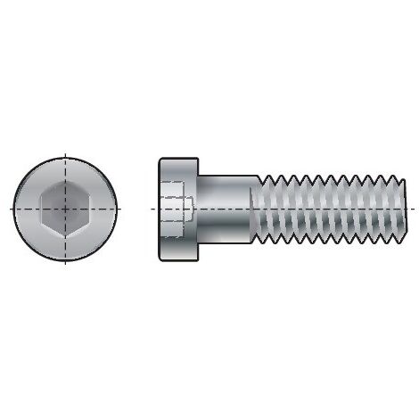 Fabory M12x70 Socket Low Head Cap Screw (GR-8.8) (PK-50)
