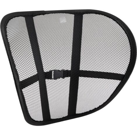 Mesh Back Support