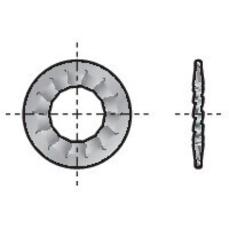 Qualfast M8 External Serrated Lock Washer - Phosphor Bronze CU4 DIN 6- you get 5
