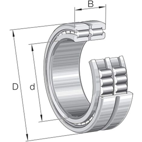 INA Cylindrical Roller Bearing - SL Type - SL-184944