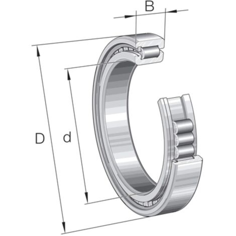 INA Cylindrical Roller Bearing - SL Type - SL-183026