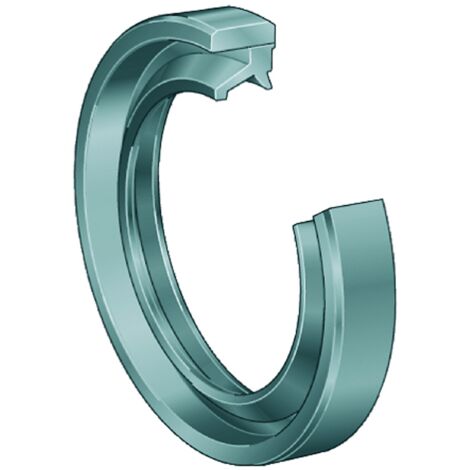 INA Seal SD-25324 Pack of 10