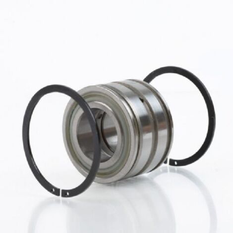 INA Cylindrical Roller Bearing - SL Type SL-045006