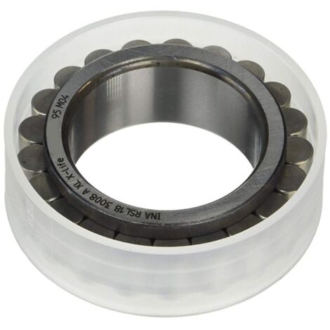 INA Cylindrical Roller Bearing - SL Type - RSL-182215