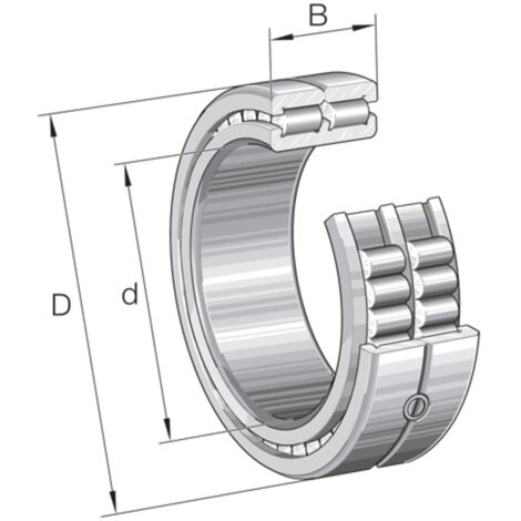 INA Cylindrical Roller Bearing - SL Type - SL-014876