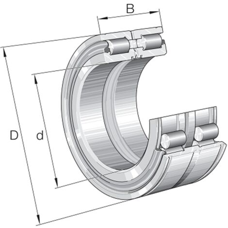 INA Cylindrical Roller Bearing - SL Type SL-045010PPC2