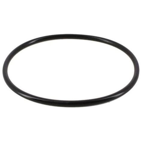 Joint de couvercle Ø151 mm pour FILTRE SAB Jupiter. Galatic et Titan 6 ...