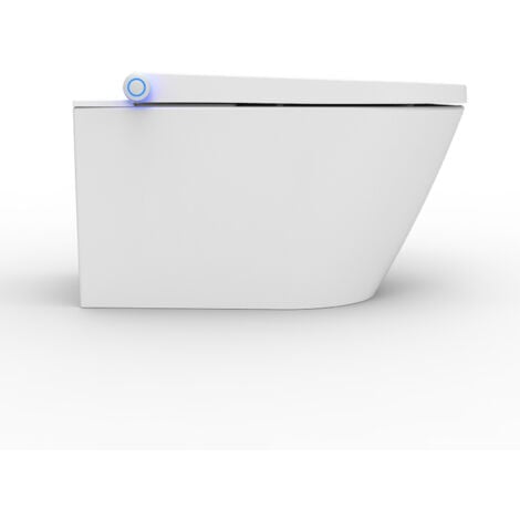 WC-Komplettpaket 17 Bernstein Dusch-WC Basic 1102 mit Vorwandelement ...