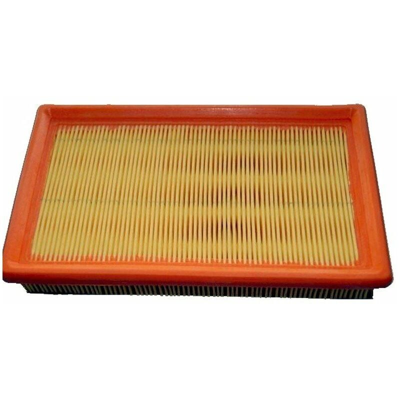 Filtre à air LOMBARDINI 2175-164 - 2175-105 - 2175-132