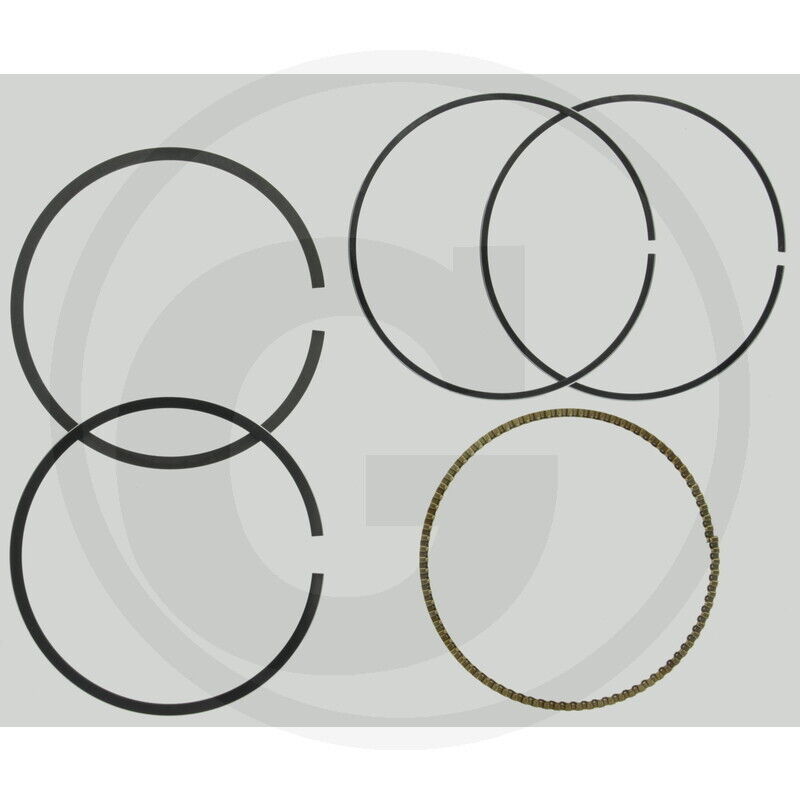 Segments BRIGGS ET STRATTON 795431