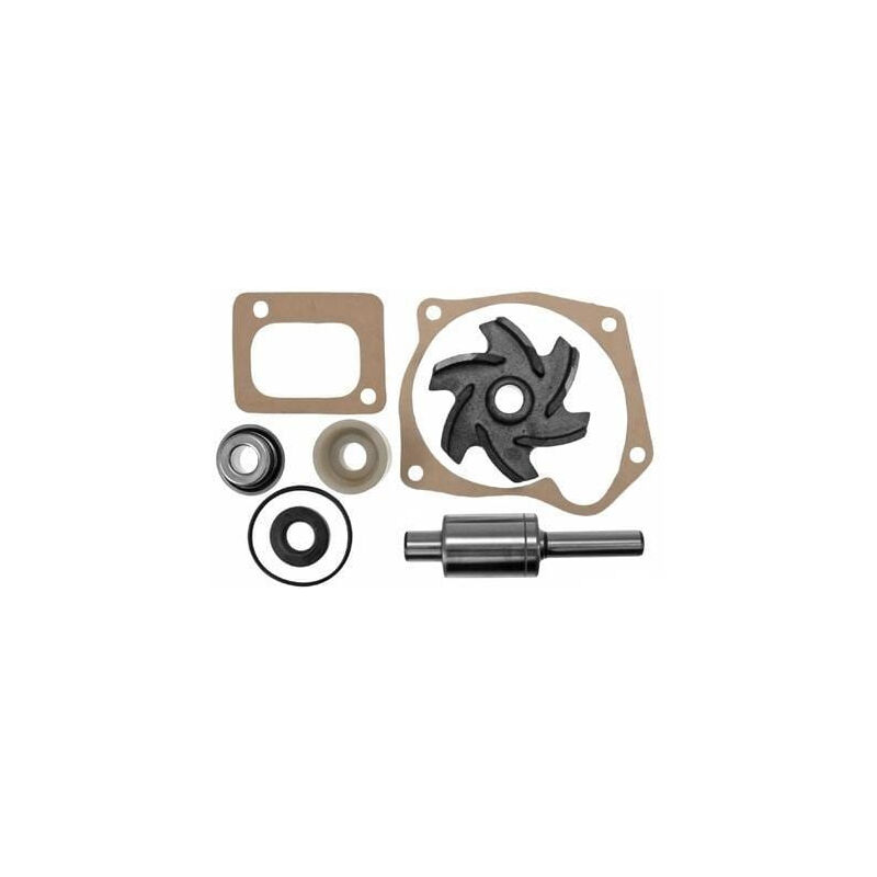 Kit de réparation VAPORMATIC VPE2077