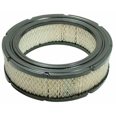 Filtre à air BRIGGS et STRATTON 692519 - 806232