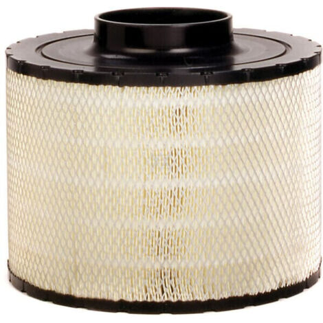Filtre DONALDSON B125011