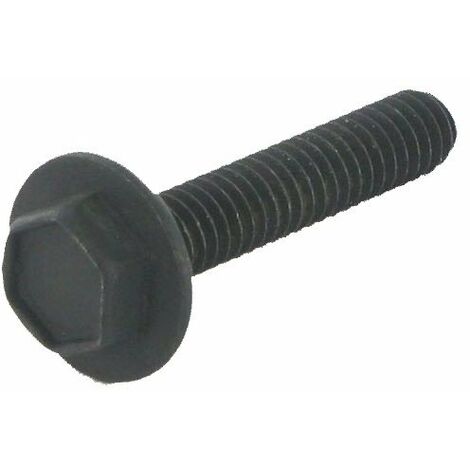 Vis de bobine BRIGGS ET STRATTON 691061