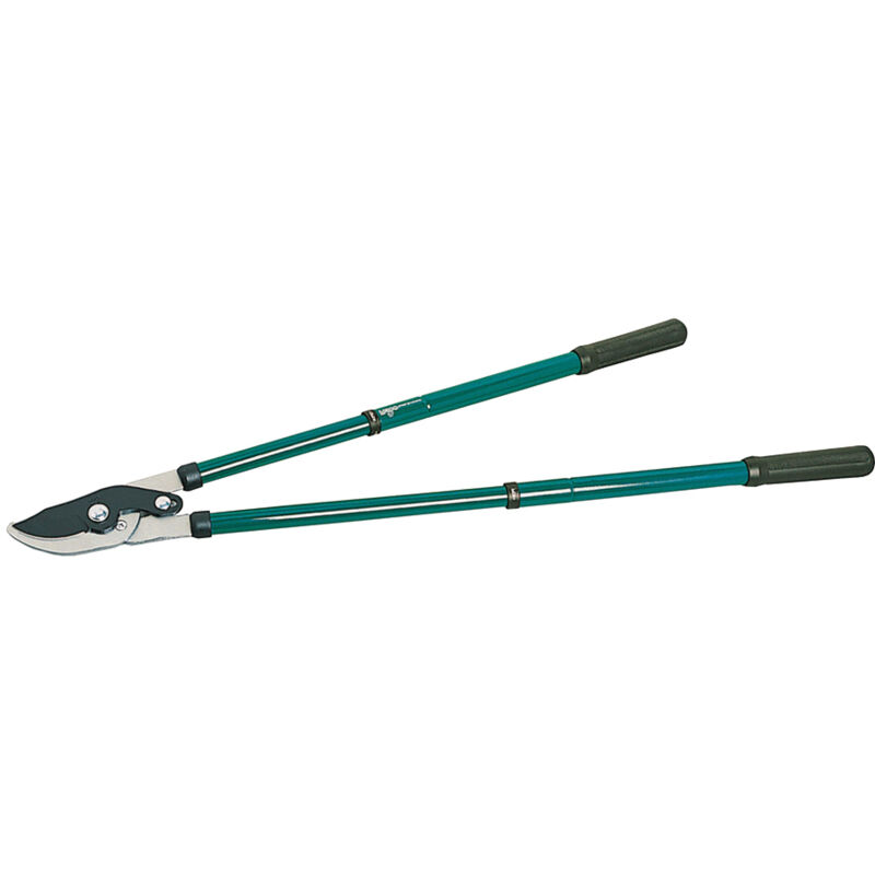 Ebrancheur acier à lame franche télescopique