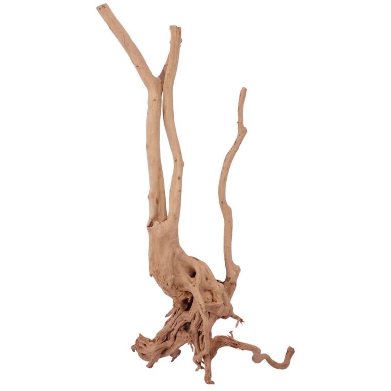 L Stump Wurzel Nr.1842 Holz Deko Aquascaping