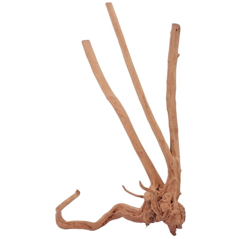 L Stump Wurzel Nr.1861 Holz Deko Aquascaping