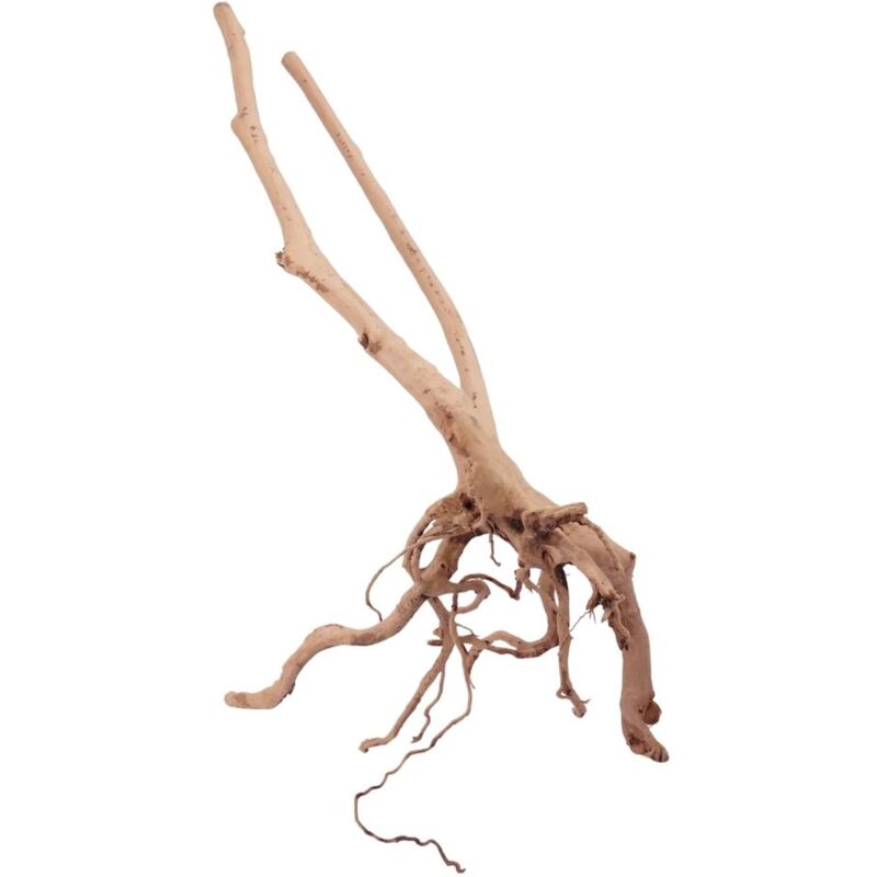 L Stump Wurzel Nr.1881 Holz Deko Aquascaping