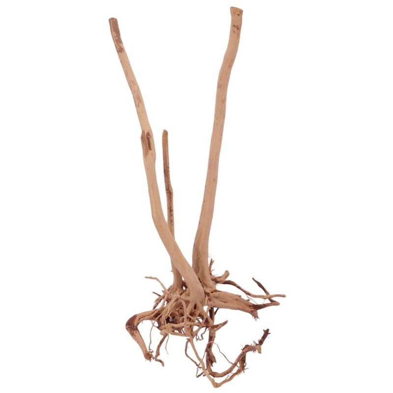 L Stump Wurzel Nr.1878 Holz Deko Aquascaping