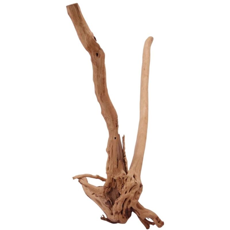 M Stump Wurzel Nr.2082 Holz Deko Aquascaping