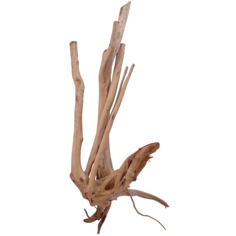 M Stump Wurzel Nr.2435 Holz Deko Aquascaping