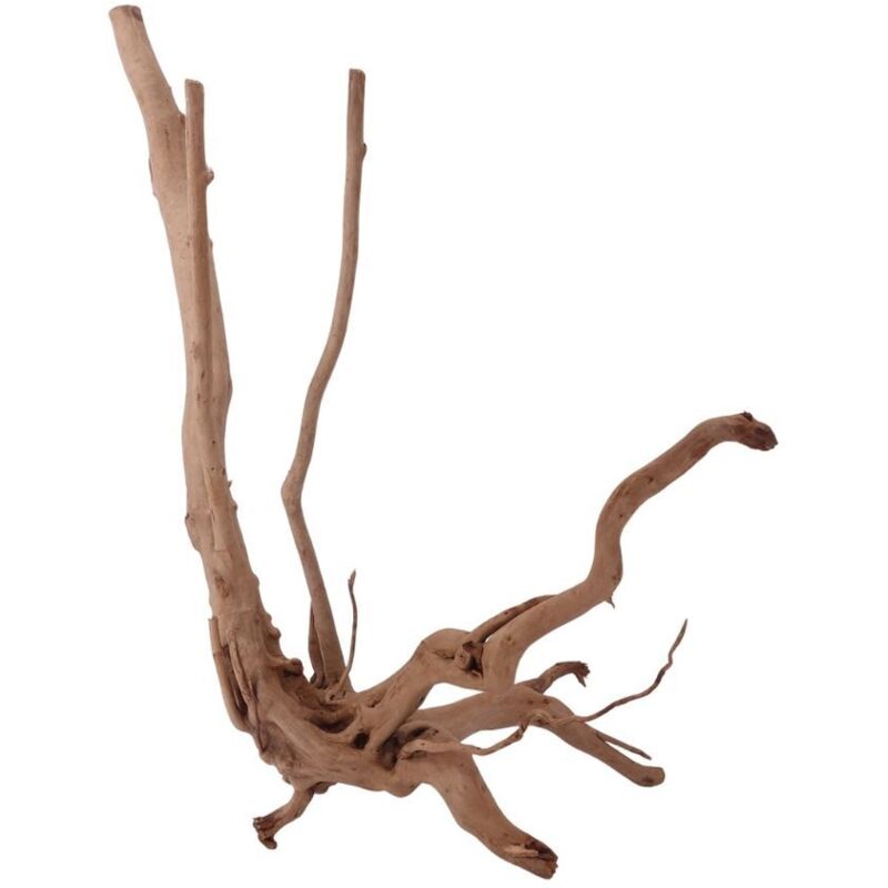 M Stump Wurzel Nr.2434 Holz Deko Aquascaping