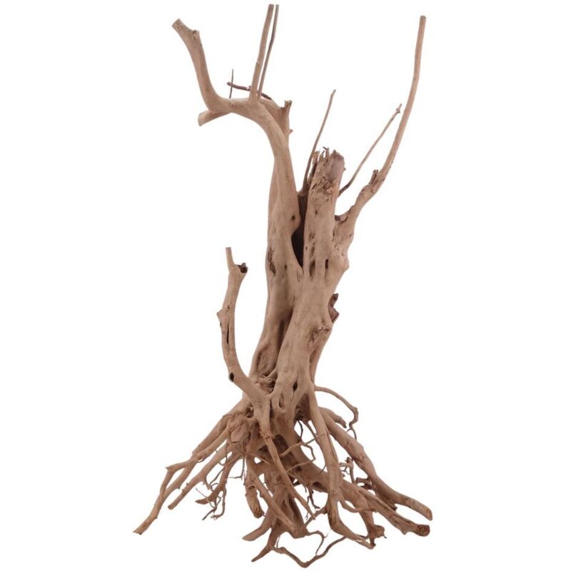 XXL Stump Wurzel Nr.2494 Holz Deko Aquascaping
