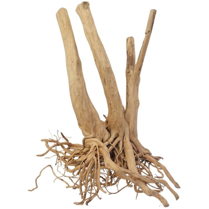 XXL Stump Wurzel Nr.2497 Holz Deko Aquascaping