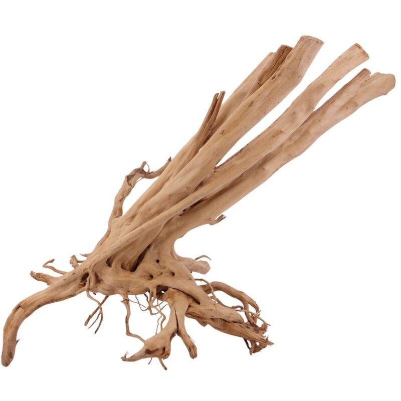 XL Stump Wurzel Nr.2484 Holz Deko Aquascaping