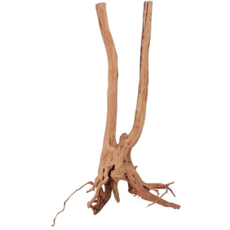 L Stump Wurzel Nr.1886 Holz Deko Aquascaping