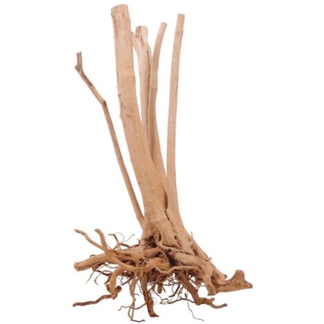 XL Stump Wurzel Nr.3190 Holz Deko Aquascaping