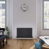 ELEGANT Traditional Radiator Anthracite Double Horizontal Cast Iron ...
