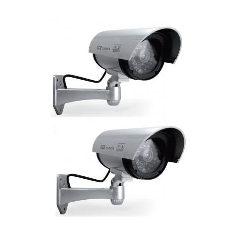 Decoy surveillance camera with indicator light