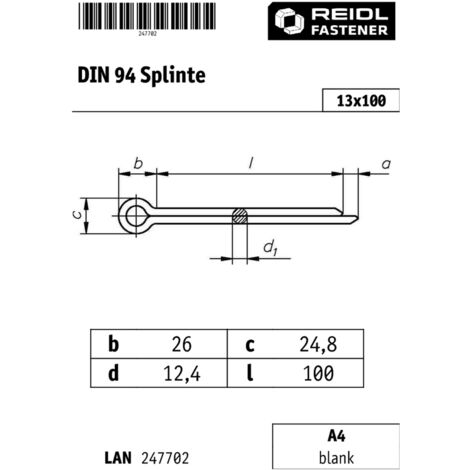 Reidl DIN 94 Splint 13 x 100, A4 blank