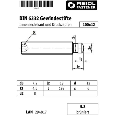 Reidl DIN 6332 Gewindestift M12x100, mit Innensechskant/Druckzapfen, 5. ...