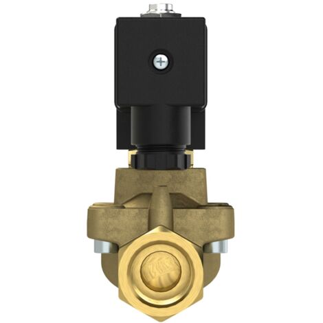 Riegler 2/2 MV, NO, MS, G38, DN13, PN 0,5-12, FPM, vorgest., 24V DC